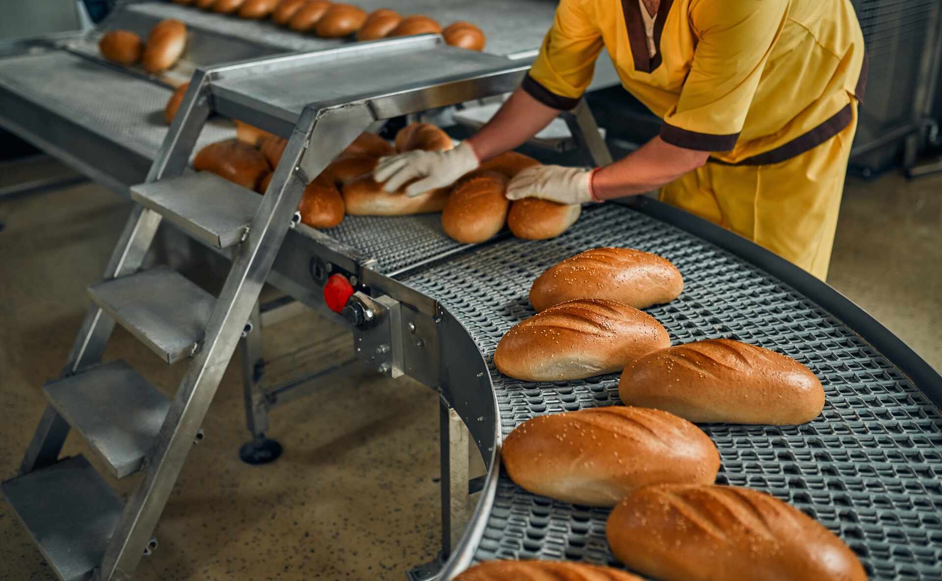 Maximising Food Manufacturing Efficiency with Right Conveyor Belt Maximising Food Manufacturing Efficiency with Right Conveyor Belt